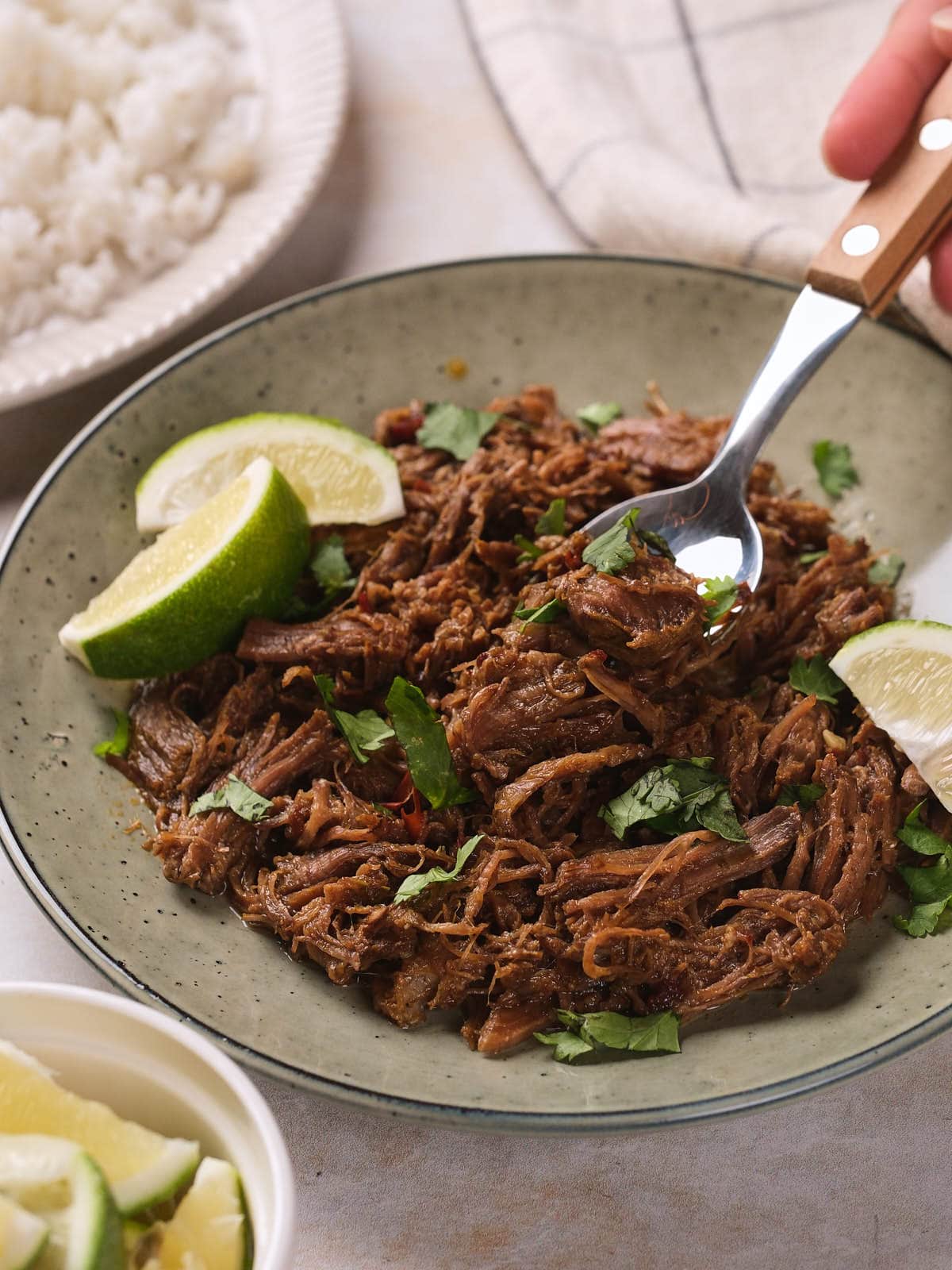 Easy Instant Pot Barbacoa